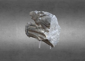 Rabbit grotesque - Free 3d model on creazilla.com