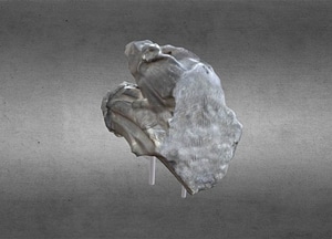 Rabbit grotesque - Free 3d model on creazilla.com