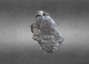 Rabbit grotesque - Free 3d model on creazilla.com