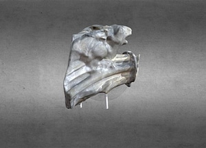 Rabbit grotesque - Free 3d model on creazilla.com