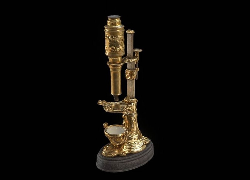 Microscope - Free 3d model on creazilla.com