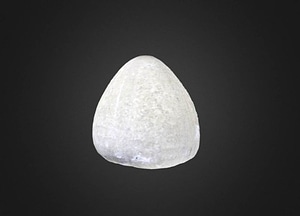 Conulus albogalerus Echinoid 3d model