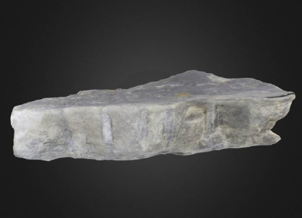 Skolithos Trace fossil - Free 3d model on creazilla.com