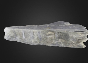 Skolithos Trace fossil - Free 3d model on creazilla.com
