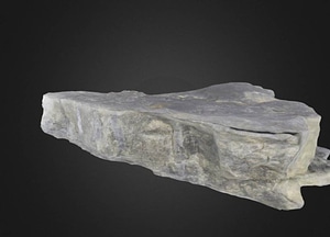 Skolithos Trace fossil - Free 3d model on creazilla.com