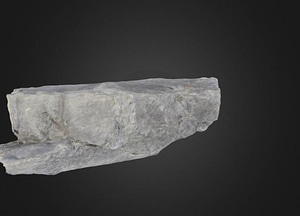Skolithos Trace fossil - Free 3d model on creazilla.com