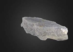 Skolithos Trace fossil - Free 3d model on creazilla.com