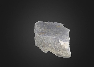 Skolithos Trace fossil - Free 3d model on creazilla.com