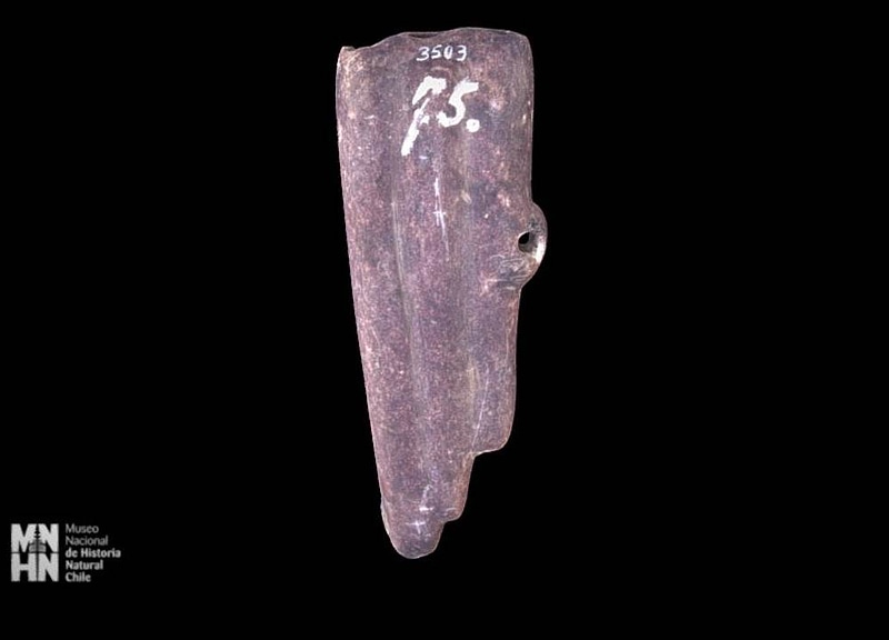 Diaguita stone musical instrument - Free 3d model on creazilla.com