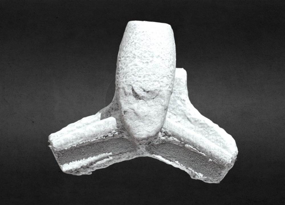 Bishops Head from Easky Church - Free 3d model on creazilla.com