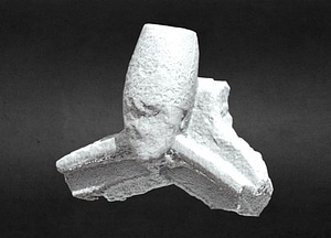 Bishops Head from Easky Church - Free 3d model on creazilla.com