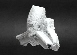 Bishops Head from Easky Church - Free 3d model on creazilla.com