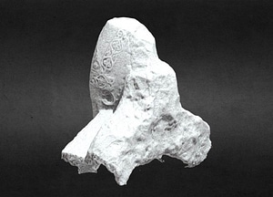 Bishops Head from Easky Church - Free 3d model on creazilla.com