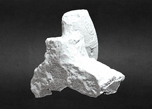 Bishops Head from Easky Church - Free 3d model on creazilla.com