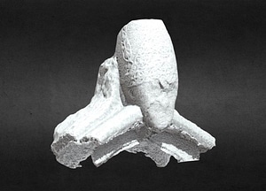 Bishops Head from Easky Church - Free 3d model on creazilla.com