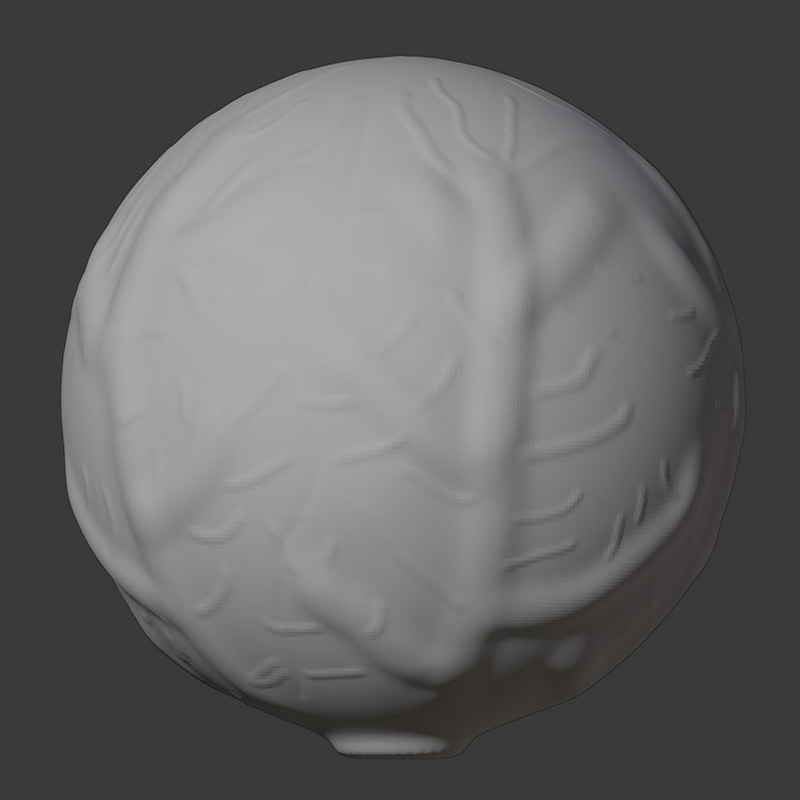 Cabbage - Free 3d model on creazilla.com