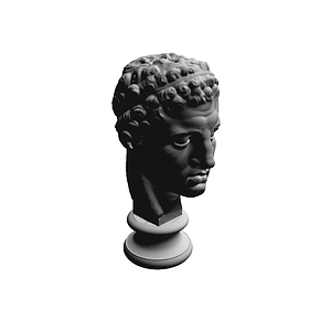 Fragmentary head of Hercules (from the Lansdowne Herakles) 3d model