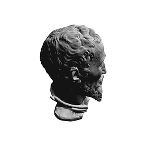Portrait of Michelangelo - Free 3d model on creazilla.com
