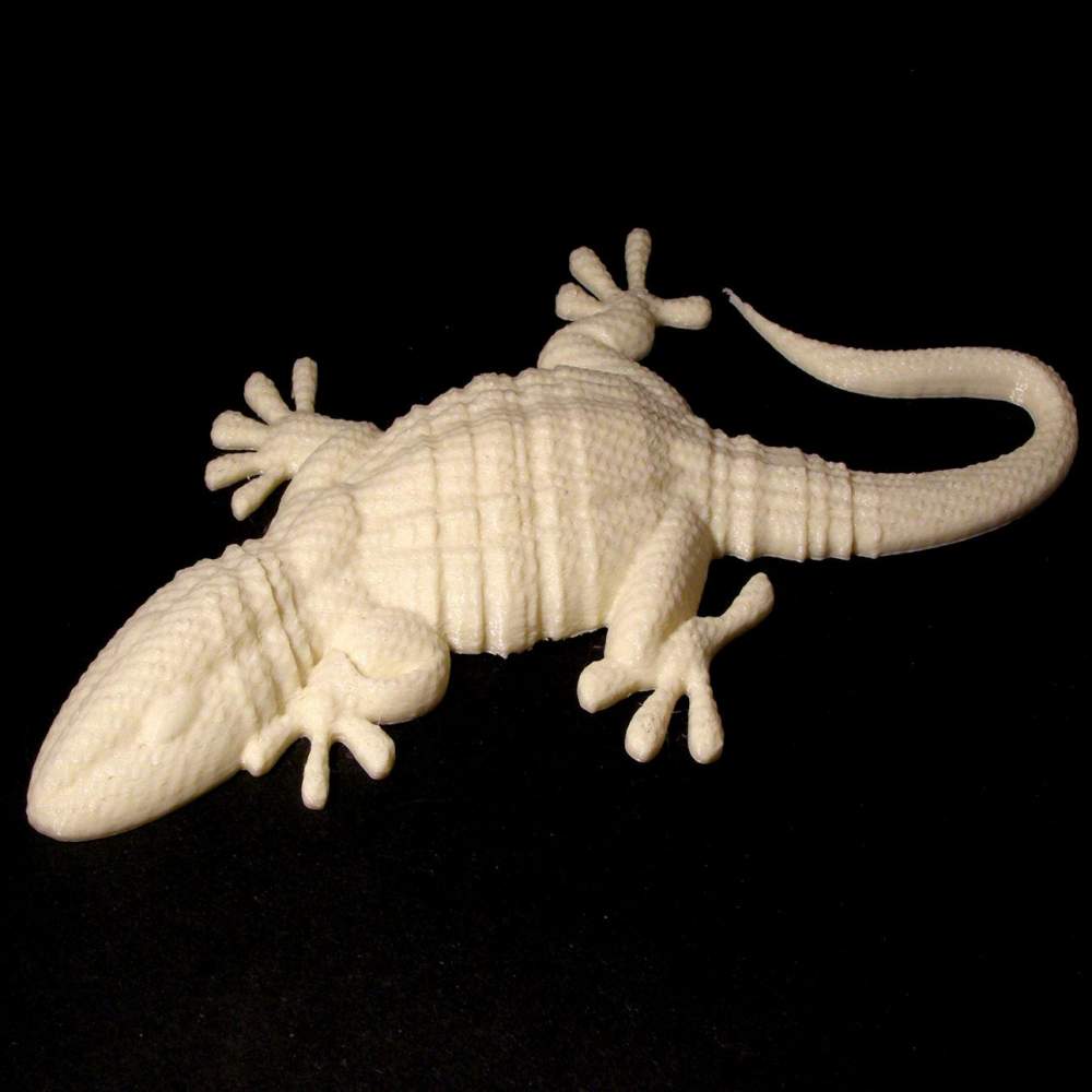 Gecko - Free 3d model on creazilla.com