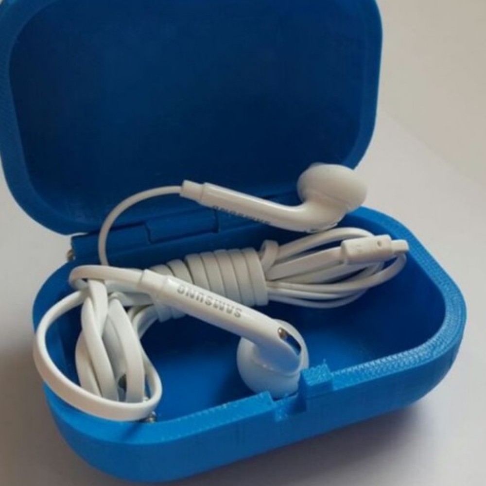 Capsule Box - Free 3d model on creazilla.com