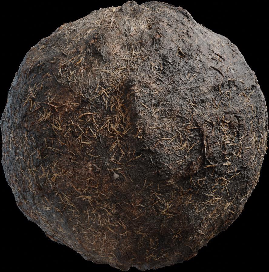 Burned Ground - Free 3d model on creazilla.com