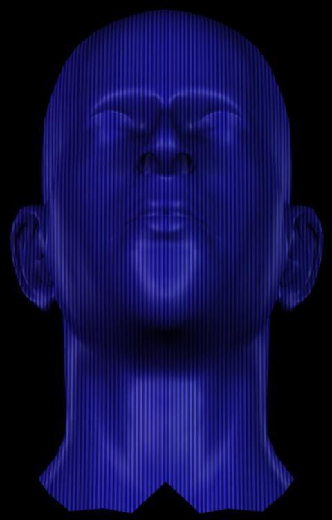 Human head (bald male) in halves - Free 3d model on creazilla.com