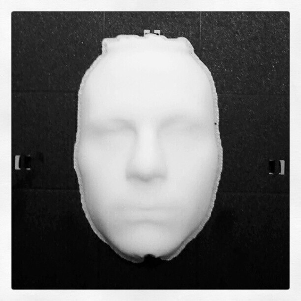 Face Scan - Free 3d model on creazilla.com