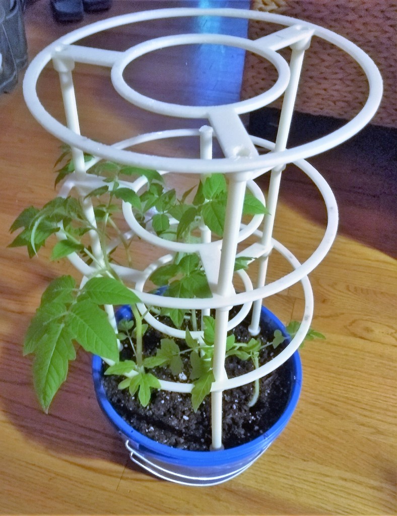 Plant support - Free 3d model on creazilla.com