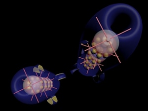 Modular Electric Rocket Concept - Free 3d model on creazilla.com