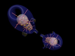 Modular Electric Rocket Concept - Free 3d model on creazilla.com