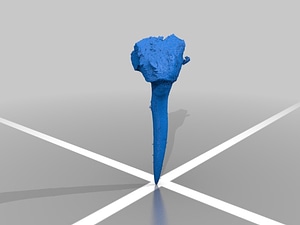 Snake Fangs - Free 3d model on creazilla.com