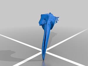 Snake Fangs - Free 3d model on creazilla.com