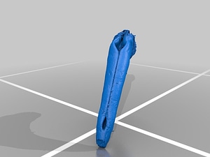 Snake Fangs - Free 3d model on creazilla.com