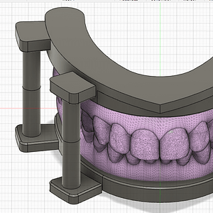 Quick Base Dental Models with Articulation Supports - Free 3d model on ...