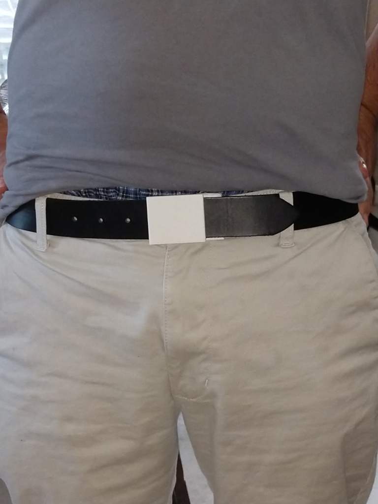 Belt Buckle - Free 3d model on creazilla.com