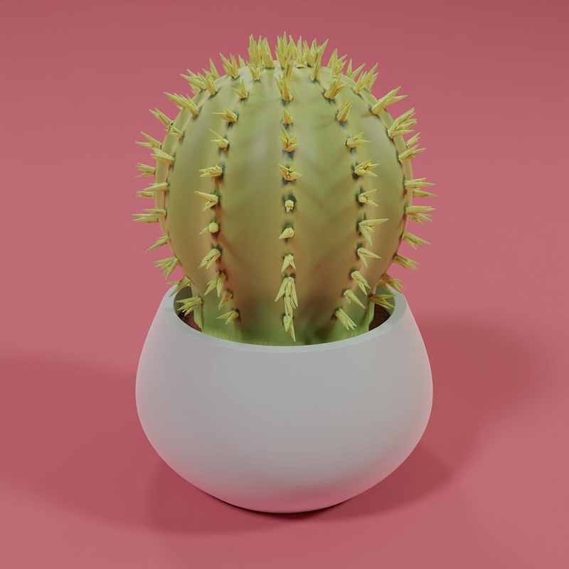 Little Round Cactus - Free 3d model on creazilla.com