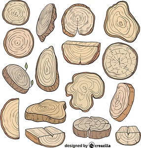 Tree trunk vector. Free download. | Creazilla