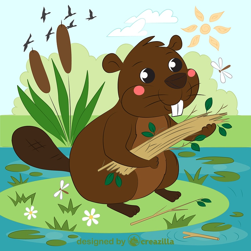 Beaver vector. Free download. | Creazilla