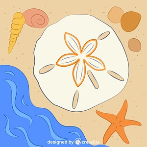 Sand dollar - Free vector images on creazilla.com