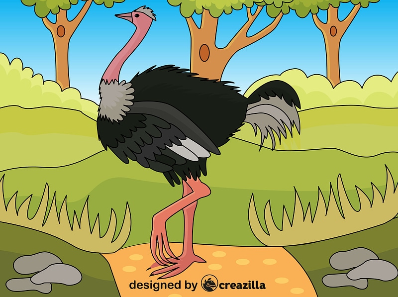 Ostrich vector. Free download. | Creazilla