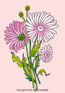 Daisy flower vector. Free download. | Creazilla