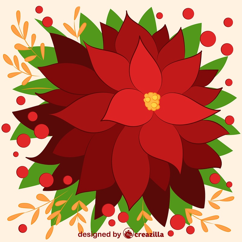 Poinsettia - Free vector images on creazilla.com