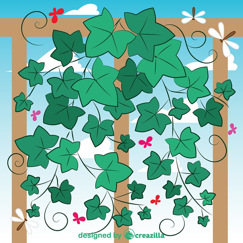 Ivy vector. Free download. | Creazilla