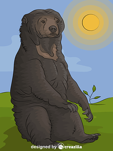 Sun Bear - Free vector images on creazilla.com
