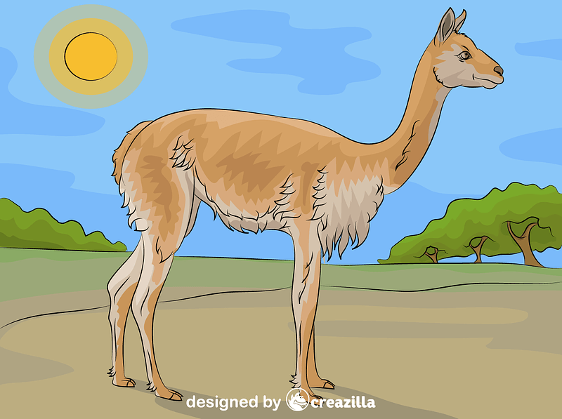 Vector de Vicuña. Descarga gratuita. | Creazilla