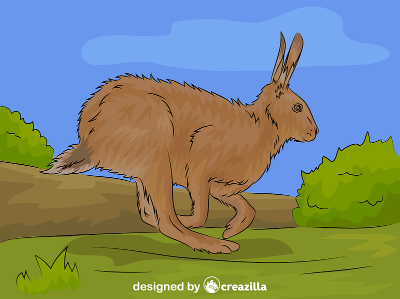 Brown Hare - Free vector images on creazilla.com