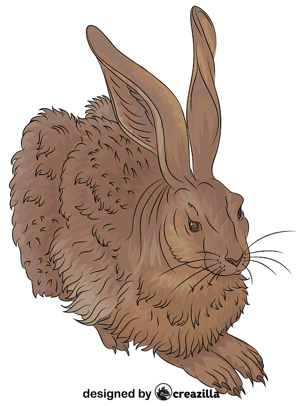 Durer Young Hare - Free vector images on creazilla.com