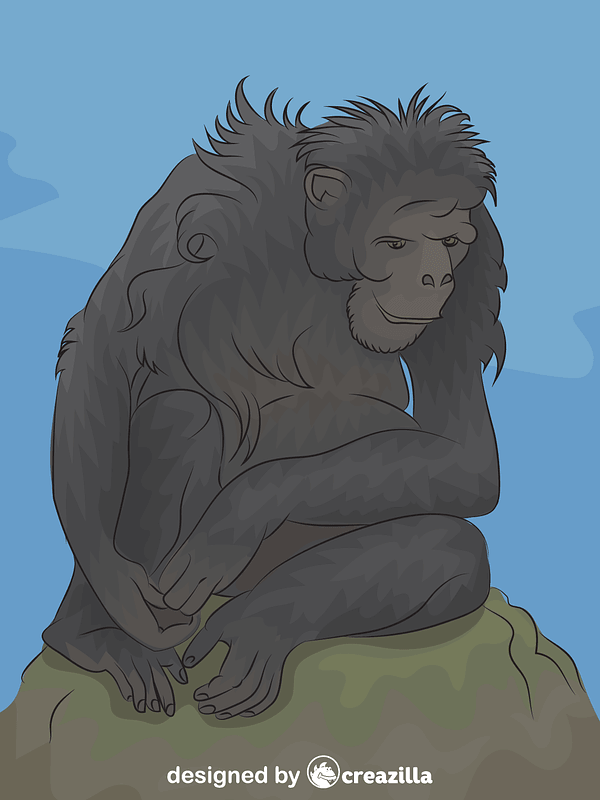 Chimpanzee - Free vector images on creazilla.com