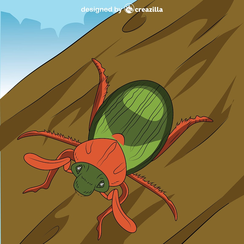 June bug vector. Free download. | Creazilla