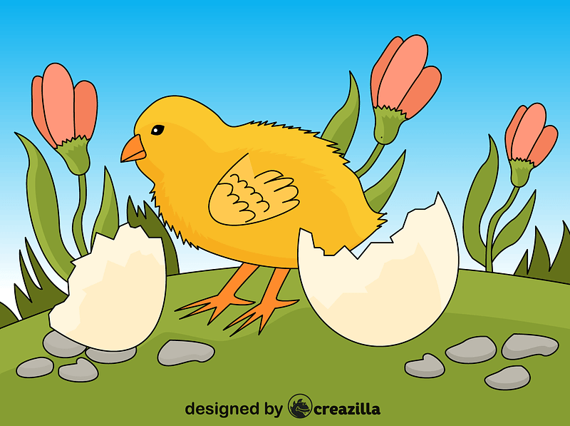 Chick - Free vector images on creazilla.com